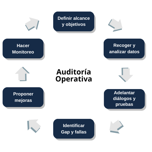 Una visión sucinta de la Auditoría Operativa