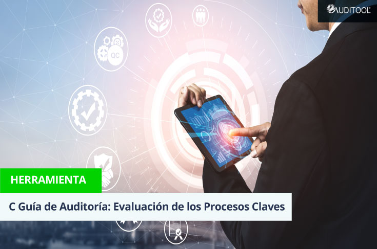 C Guía de Auditoría: Evaluación de los Procesos Claves